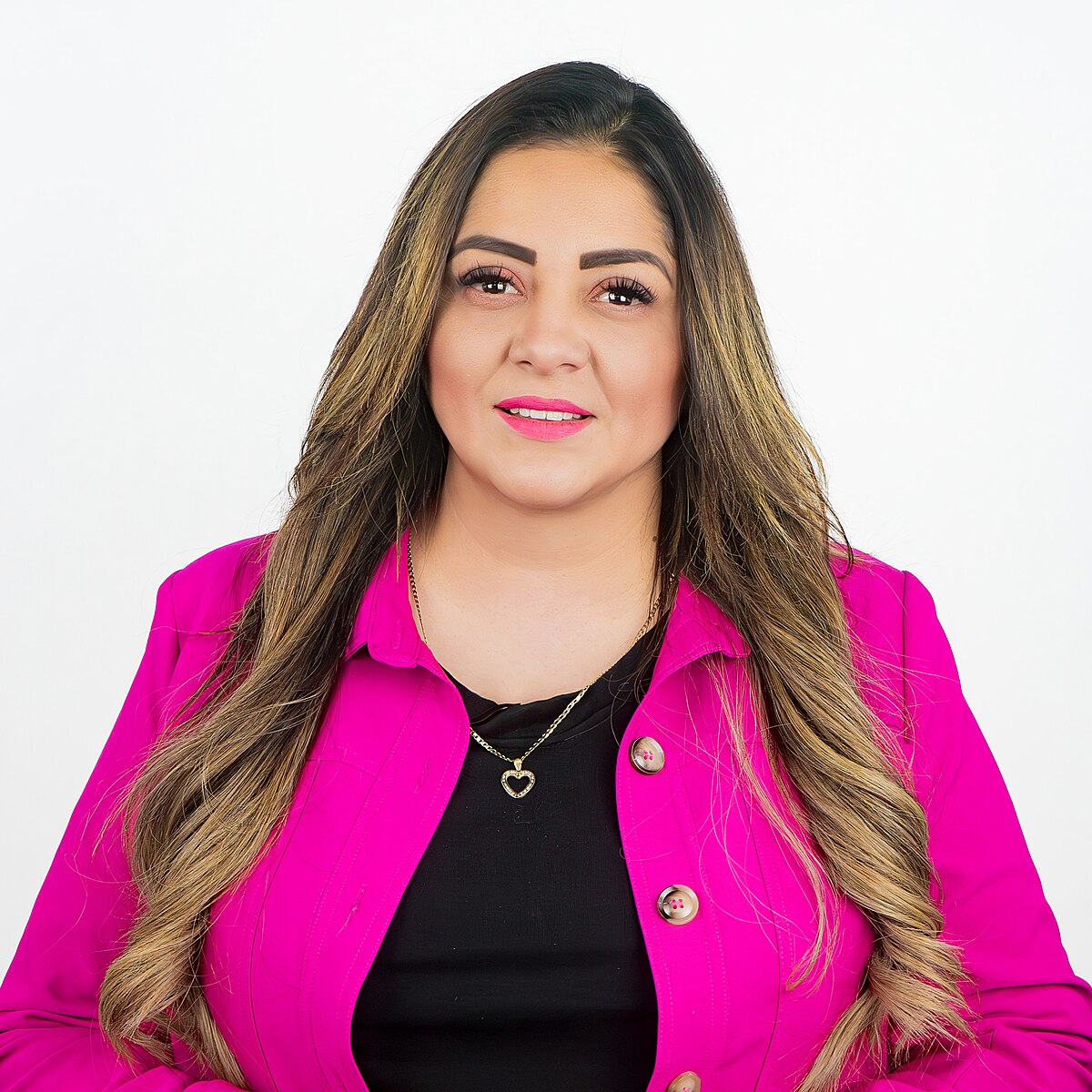 ¡Lo que usted diga señor gobernador! - Puntos y Contrapuntos.mx